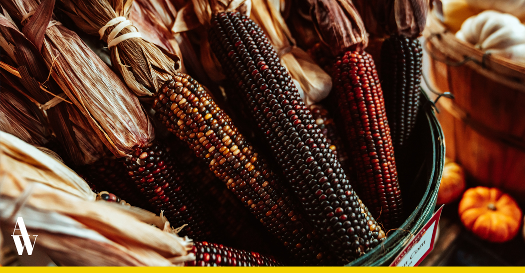 Five things Friday roundup: Thanks….and giving | Anabaptist World