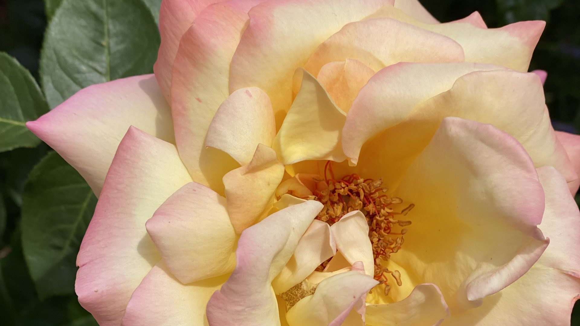 Five things Friday roundup: 5 Things to Be Aware of in April ...